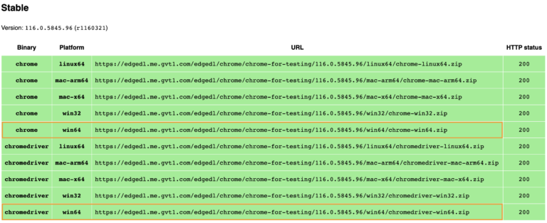วิธีติดตั้ง Chrome For Testing กับ Robot Framework Selenium - QA Hive